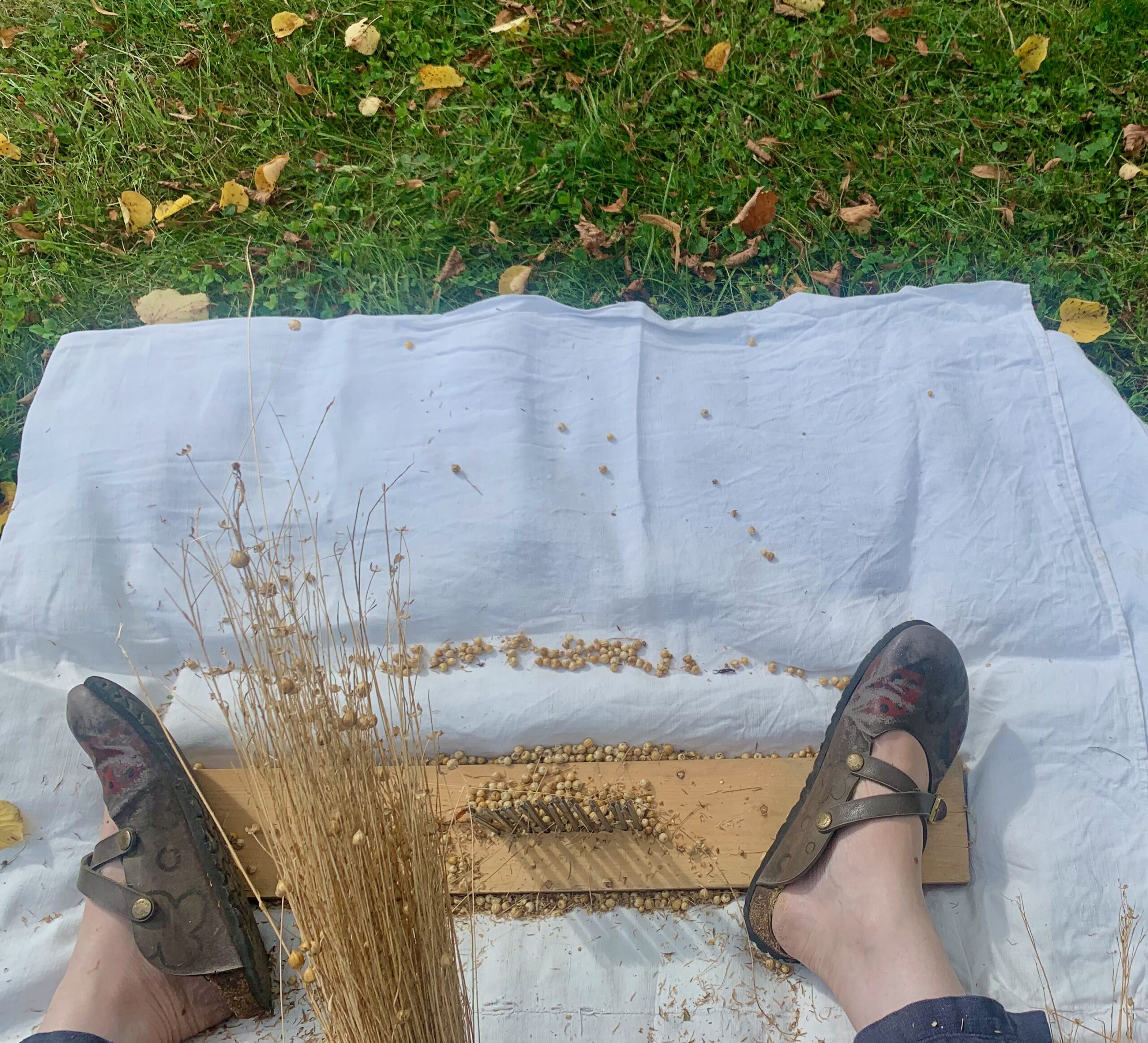 Flax processing at home - Josefin Waltin spinner