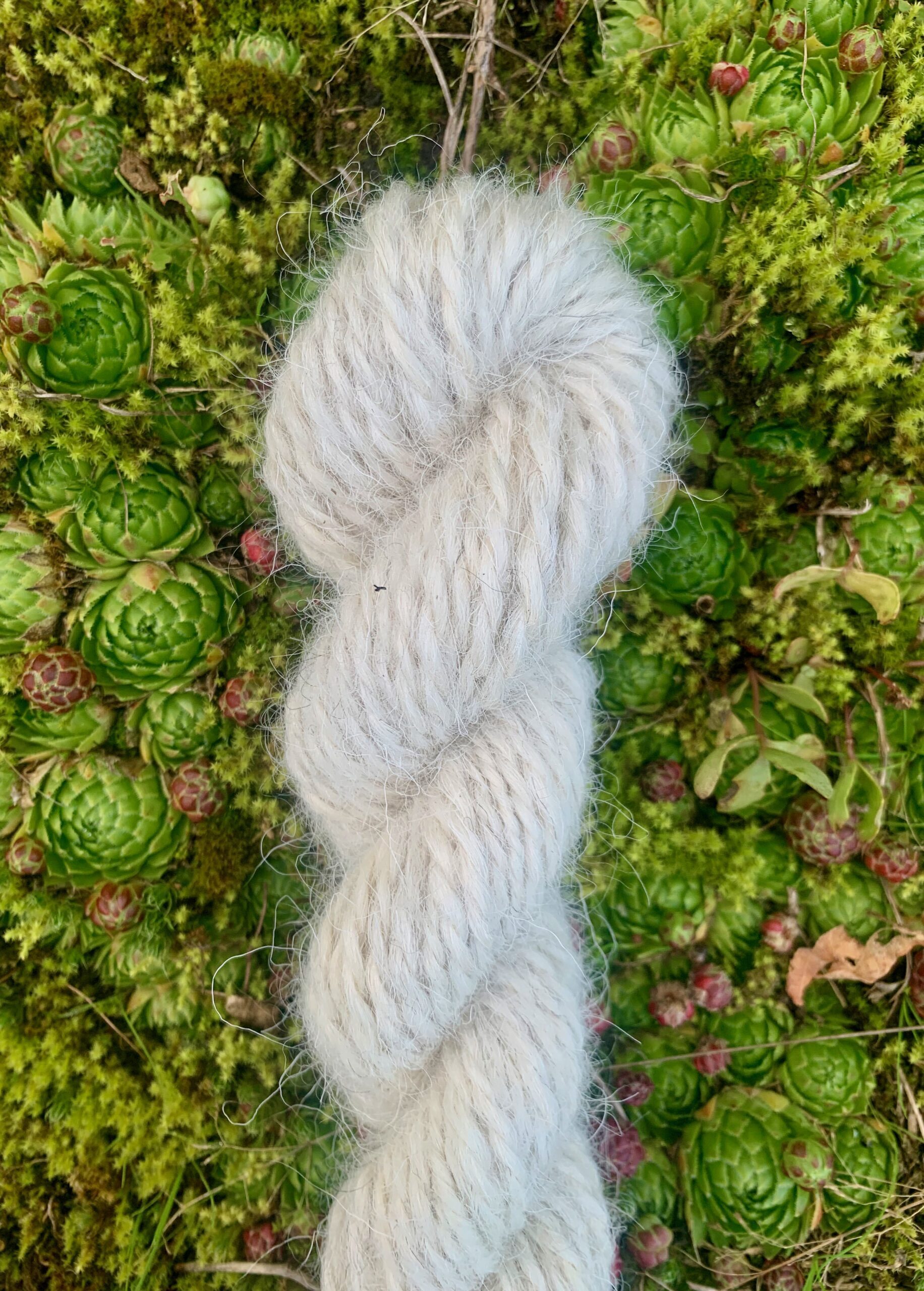 Bulky - Josefin Waltin spinner