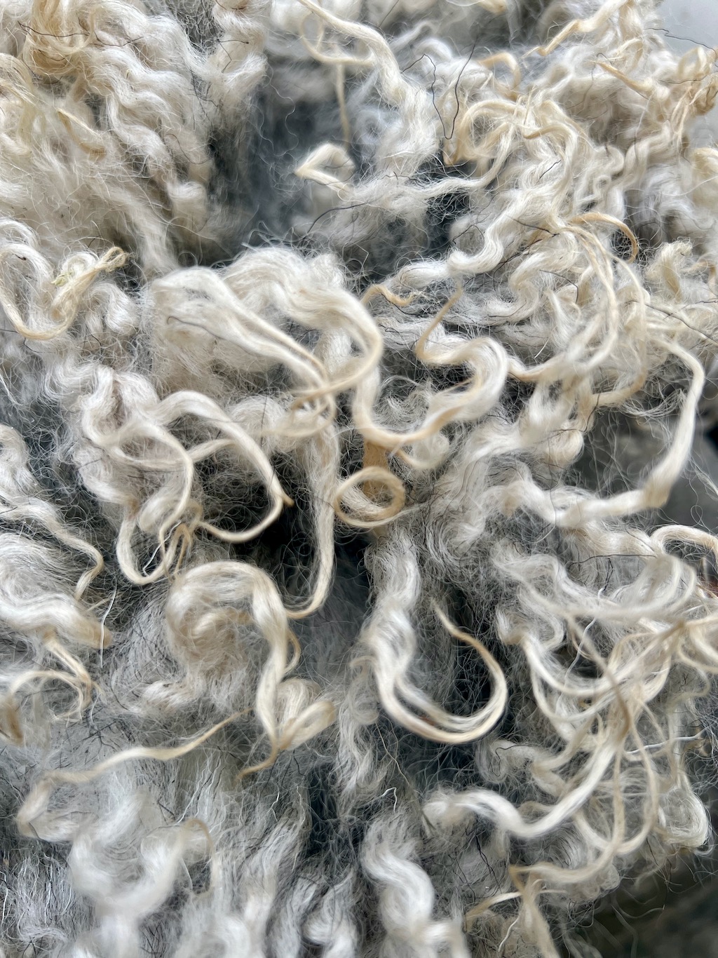 Substack: The wind in the wool - Josefin Waltin spinner